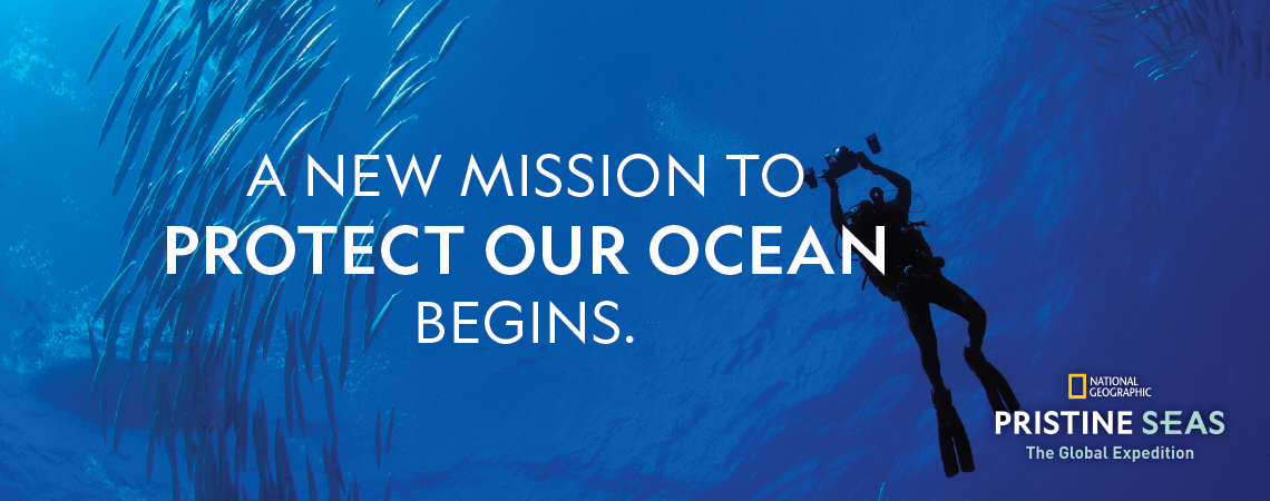 On World Ocean Day, National Geographic Pristine Seas and the Out of Home Advertising ...